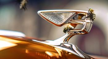 Bentley Aims to Be End-to-end Carbon Neutral by 2030 | Bentley Media