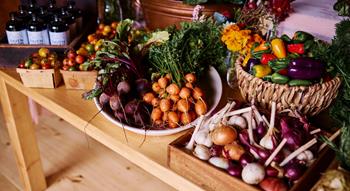 BENTLEY NEWSROOM : BEST BENTLEY DRIVES ERIN BRONNER